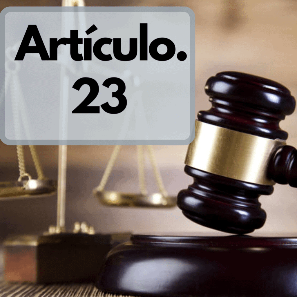 Artículo 23.- Inscripción de armas por parte de personas físicas